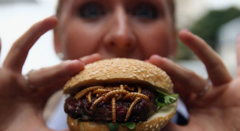American Producers Begin Replacing Meat with Insect-Based 'Foods ...