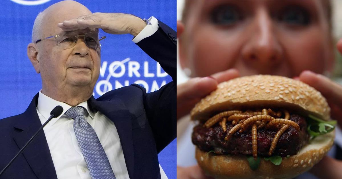 WEF Demands Governments Replace Meat with Insect-Based 'Food' - News ...