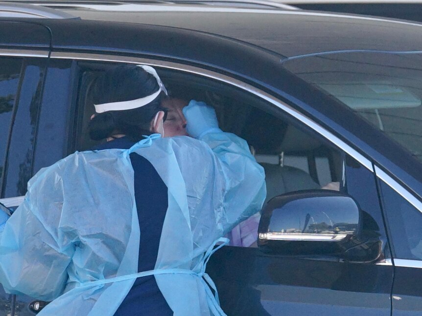 Pathology Companies’ Medicare Fraud Exposed: Massive COVID Test Request ...