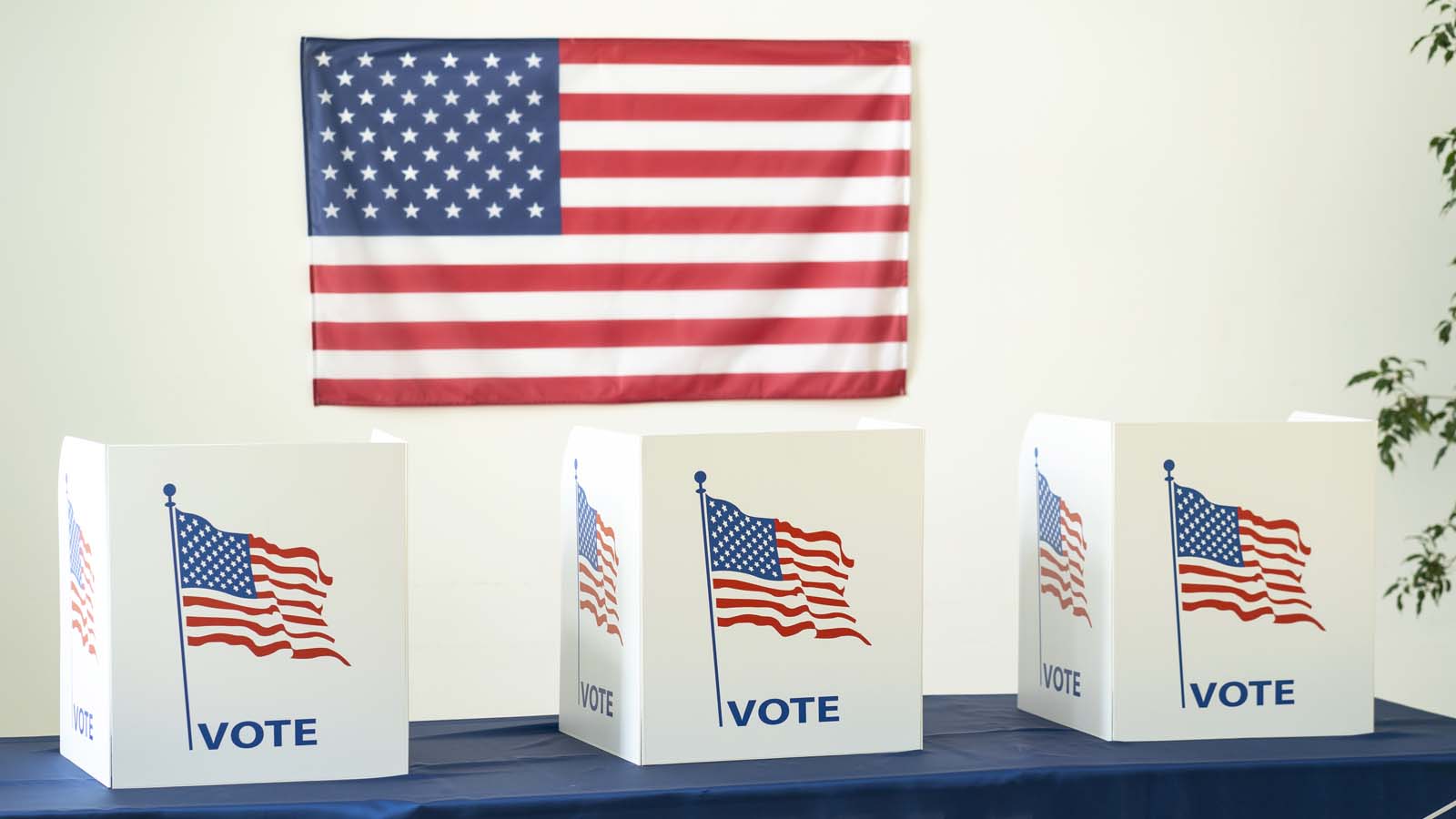 Fox News Decision Desk Chief Says Election Might Not be Called for 4 Days - News Addicts