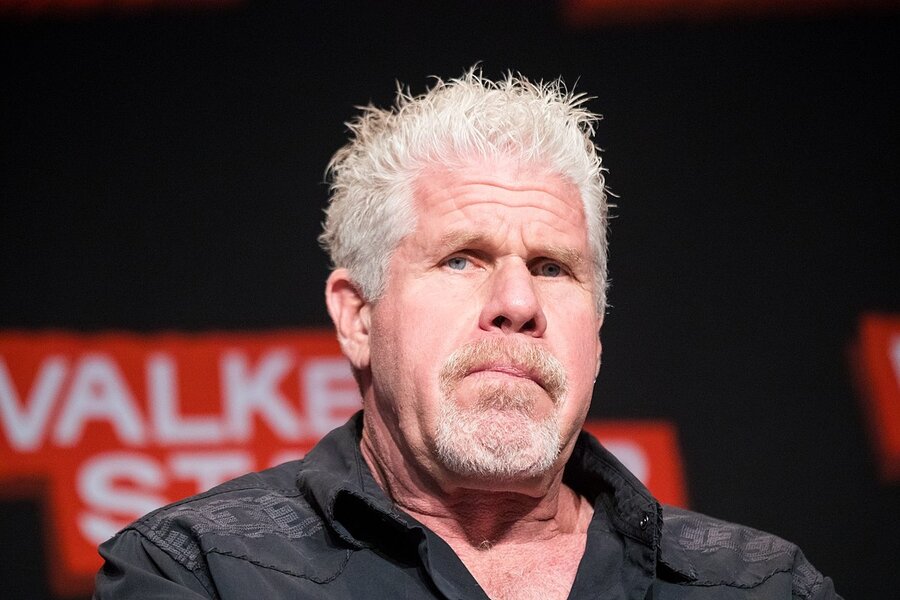 Ron Perlman Claims Trump Has Turned America Into a ‘Sh*thole Country ...