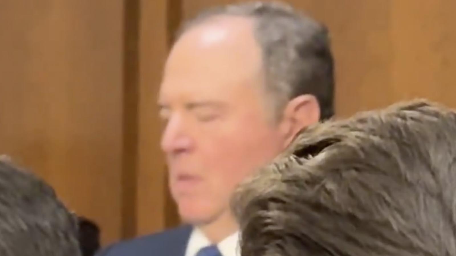 Watch: Adam Schiff Falls Asleep During Confirmation Hearing - News Addicts