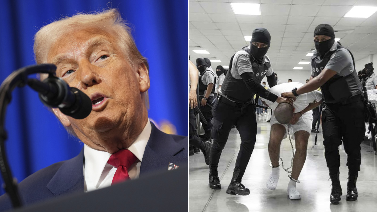Trump Responds After Deported ‘Monsters’ Receive Rough Welcome at ...